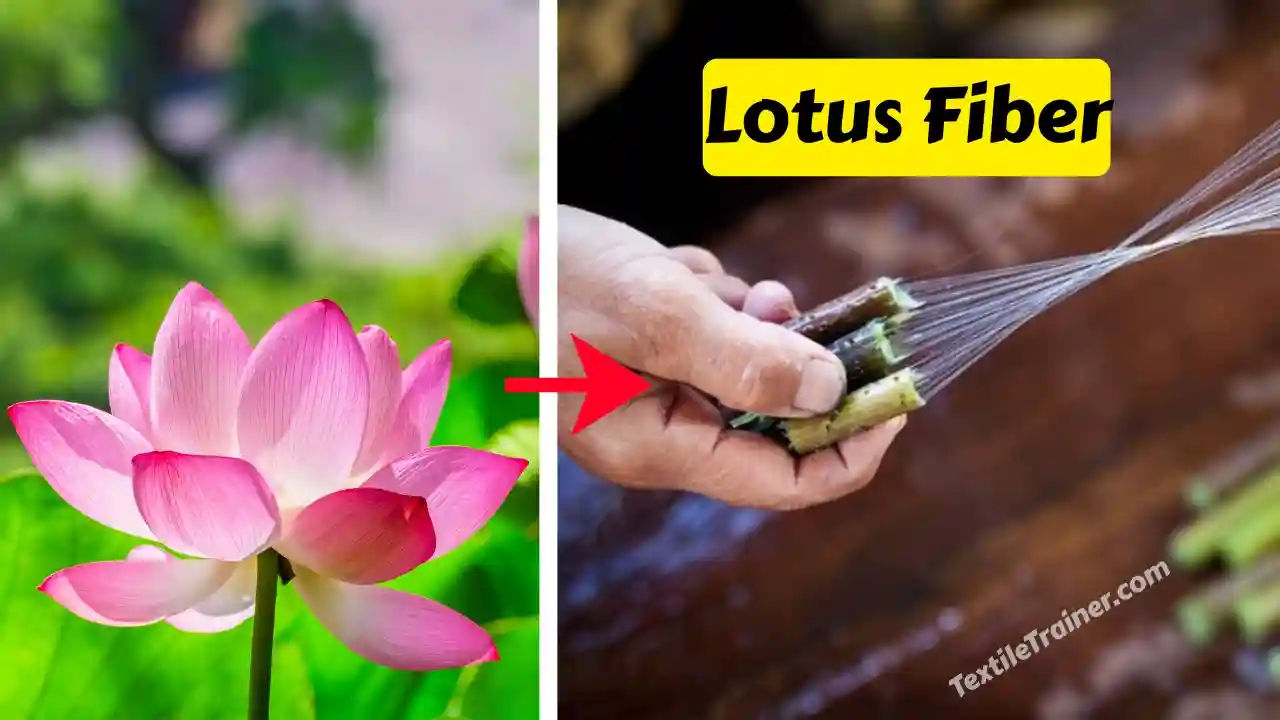 Lotus fiber manufacturing process explained simply with 9 Steps ...